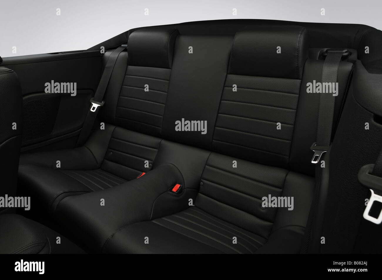 2008 Ford Shelby GT500 in White - Rear seats Stock Photo - Alamy