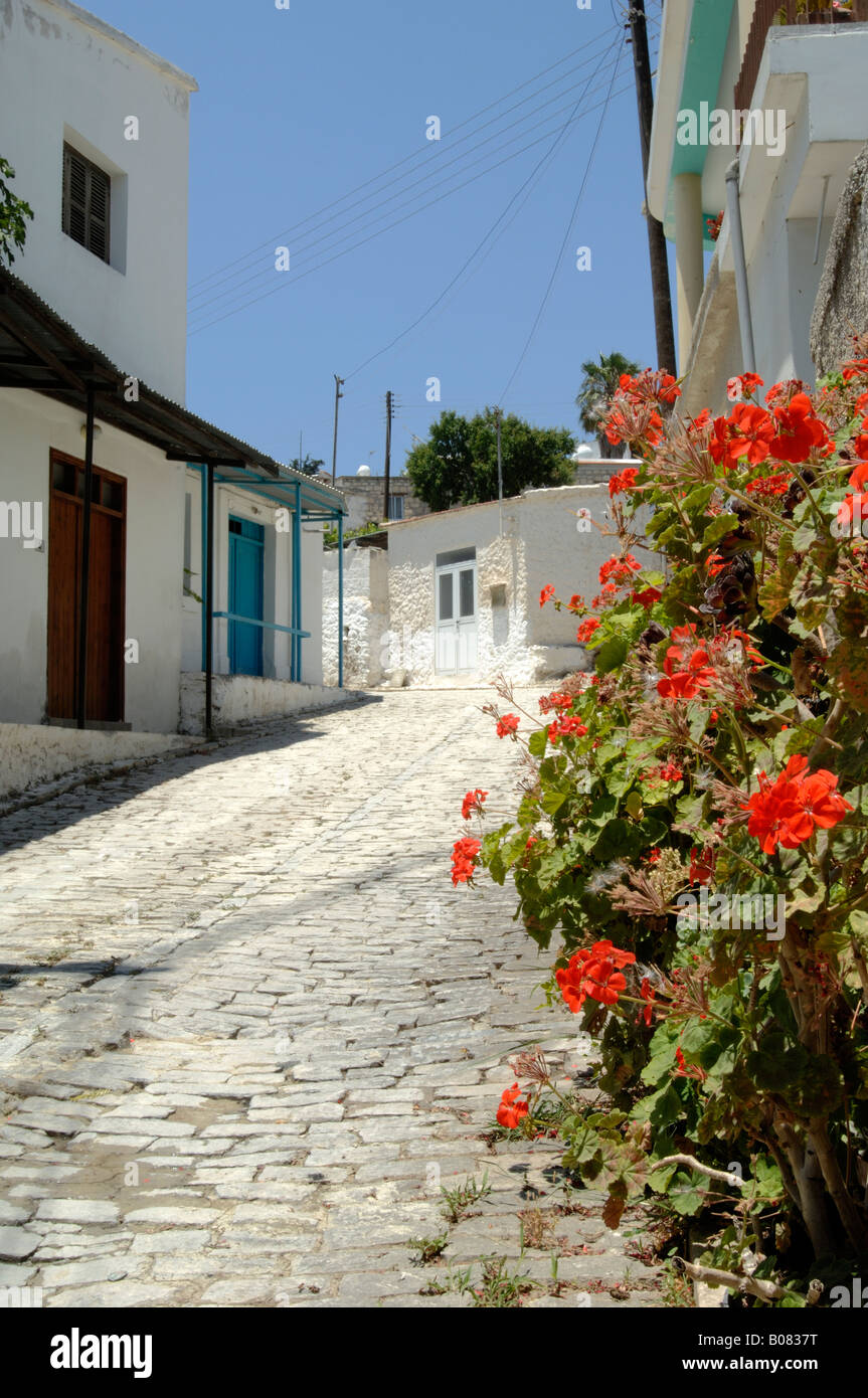 Main street of the traditional Cypriot village with flowering geraniums ...