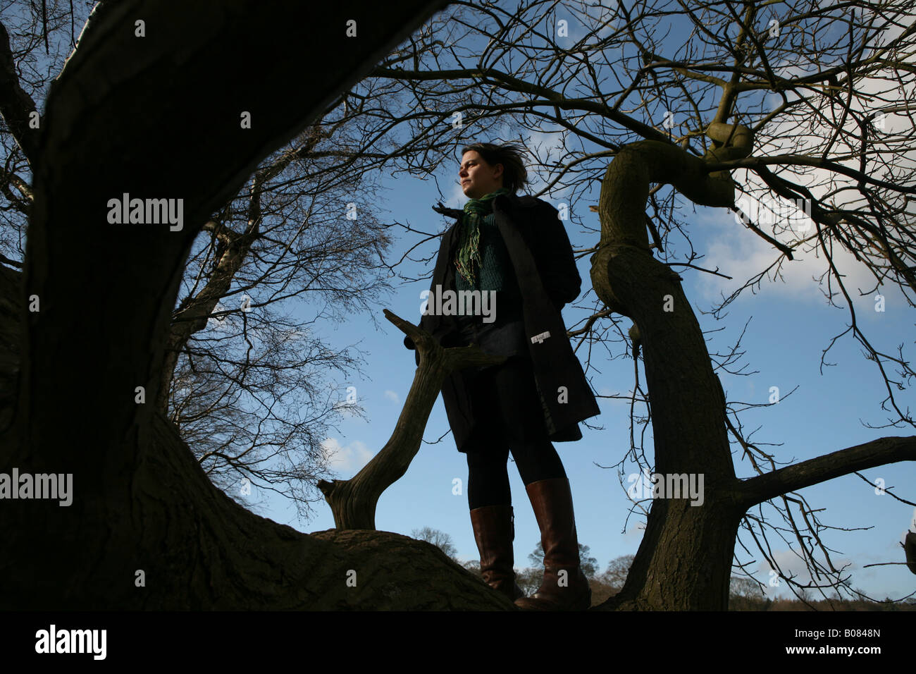a portrait of a beautiful woman standing on a fallen tree in natural ...