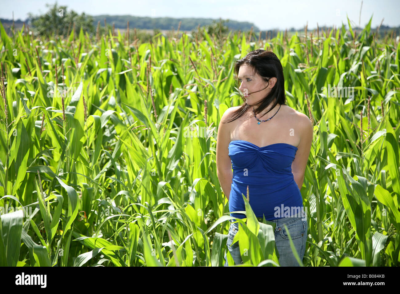 Woman standing in corn field hi-res stock photography and images - Alamy