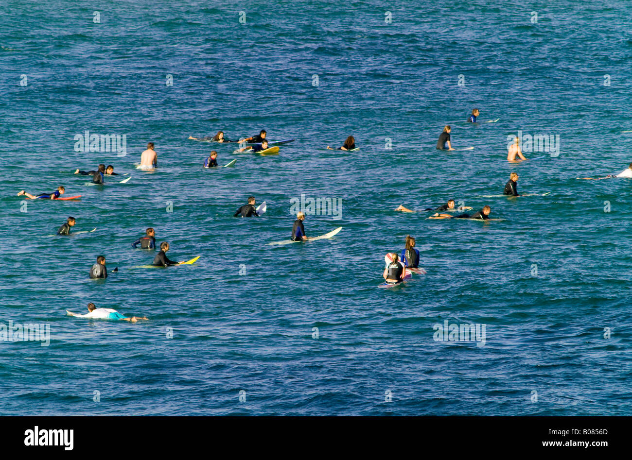 Surfers Waiting For Waves Bondi Beach Sydney Australia // SYDNEY ...