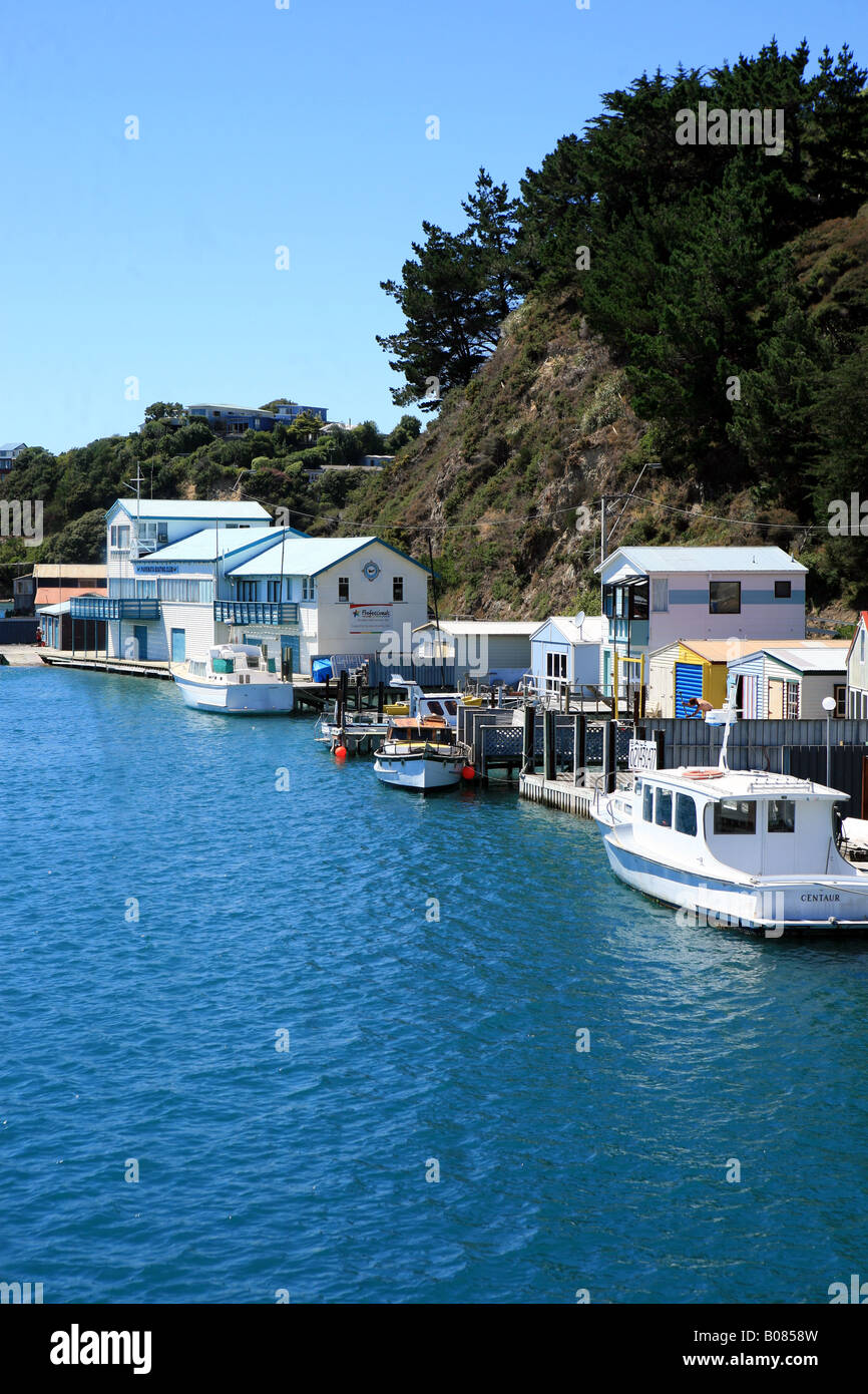 Paremata hi-res stock photography and images - Alamy