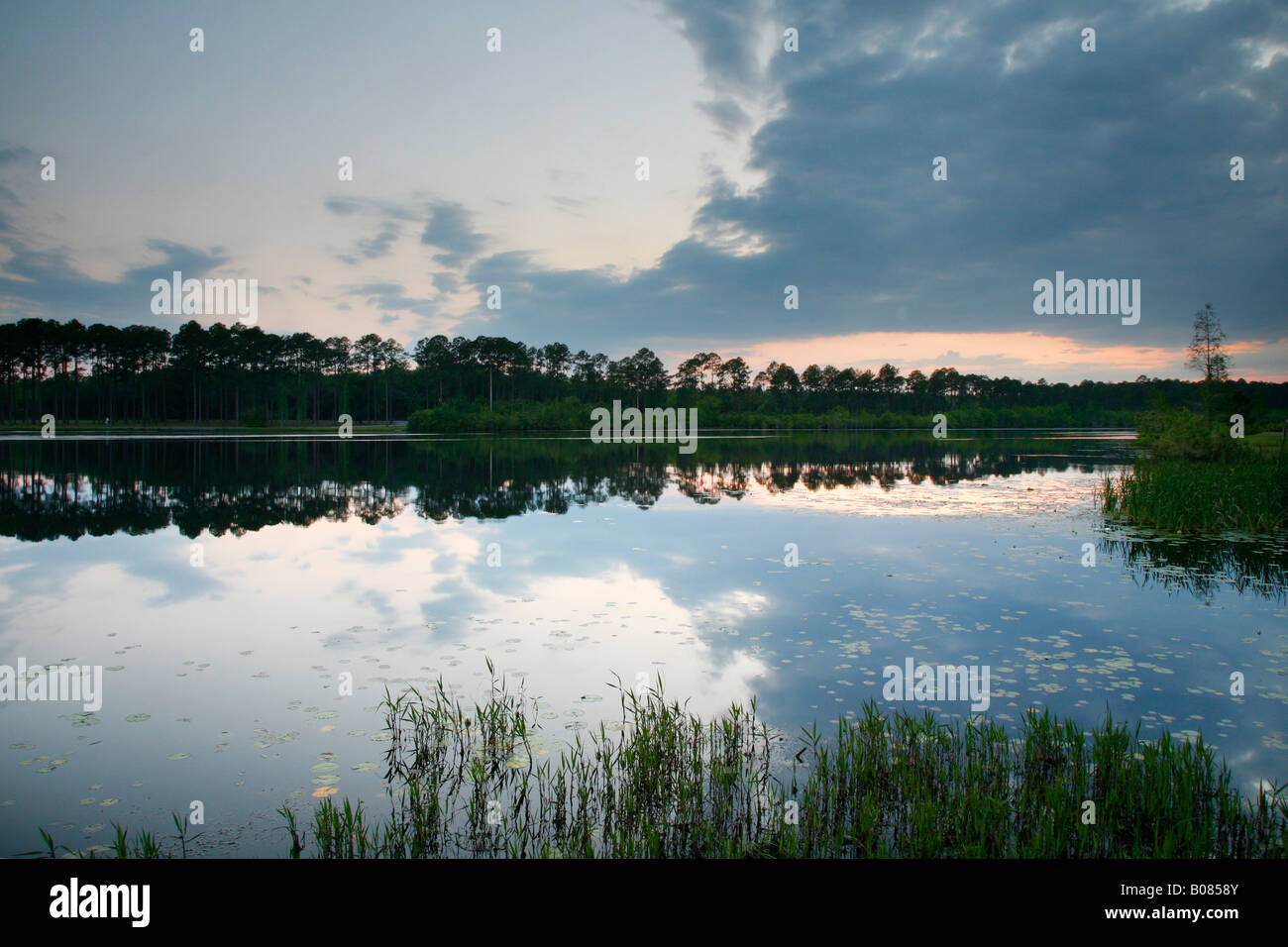 Laura walker hi-res stock photography and images - Alamy