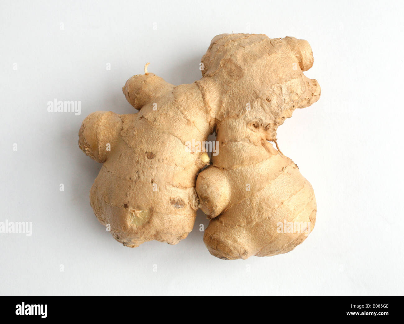 Ginger piece hi-res stock photography and images - Alamy