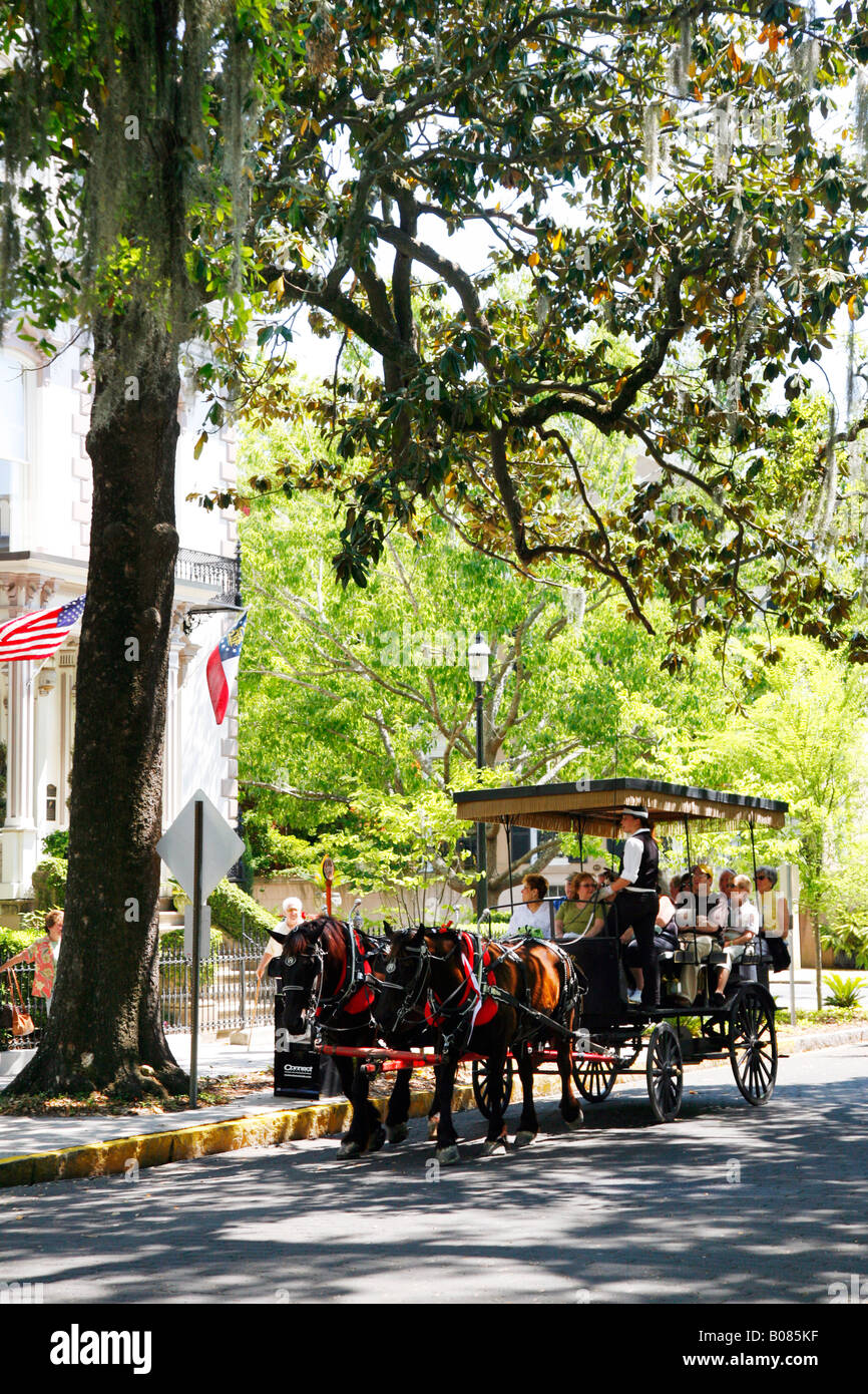 Civil war horse carriage hi-res stock photography and images - Alamy