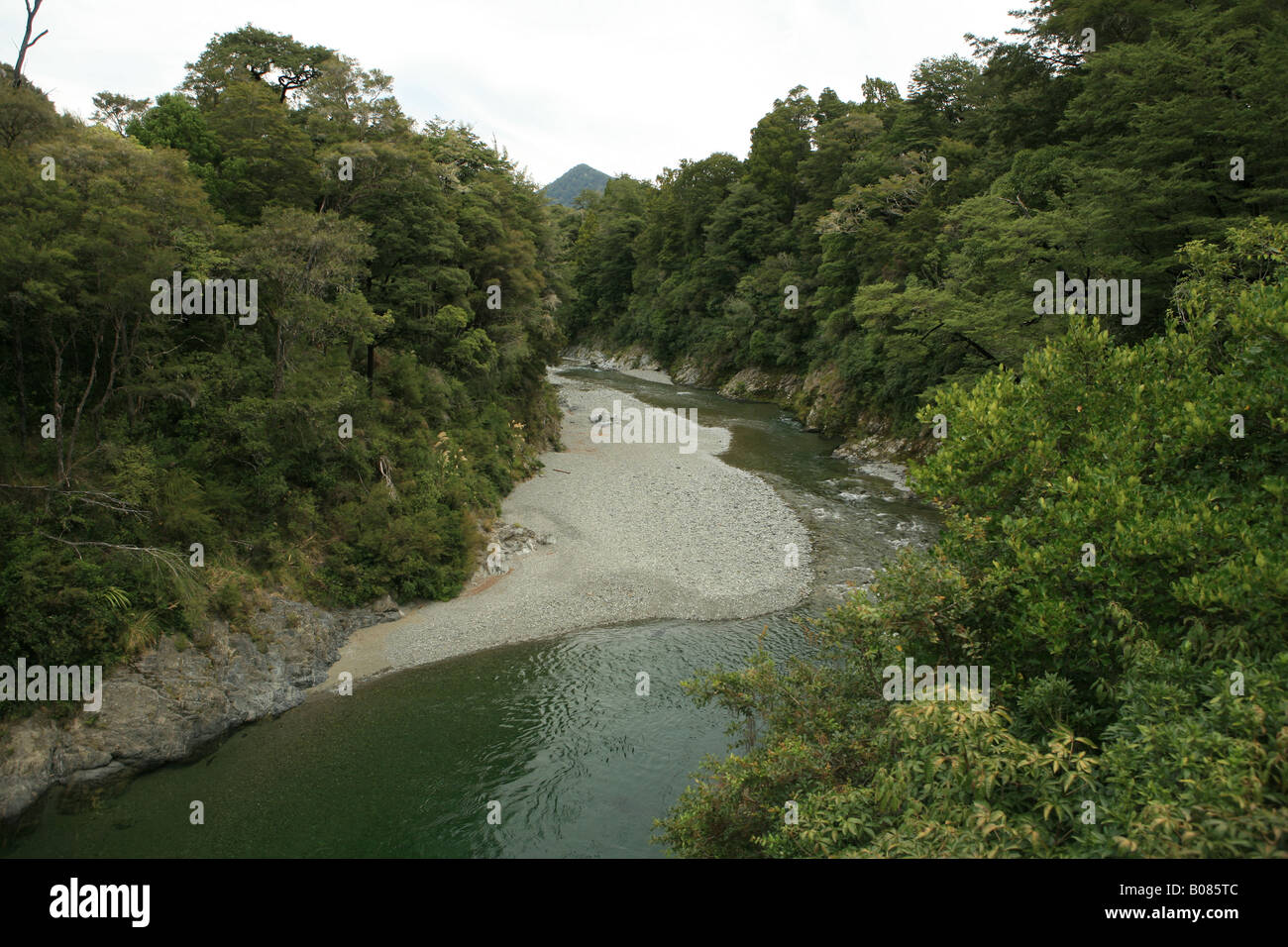 Pelorous river new zealand hi-res stock photography and images - Alamy