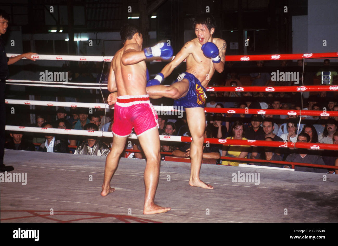 Thailand Muay Thai Boxing Stock Photo - Alamy