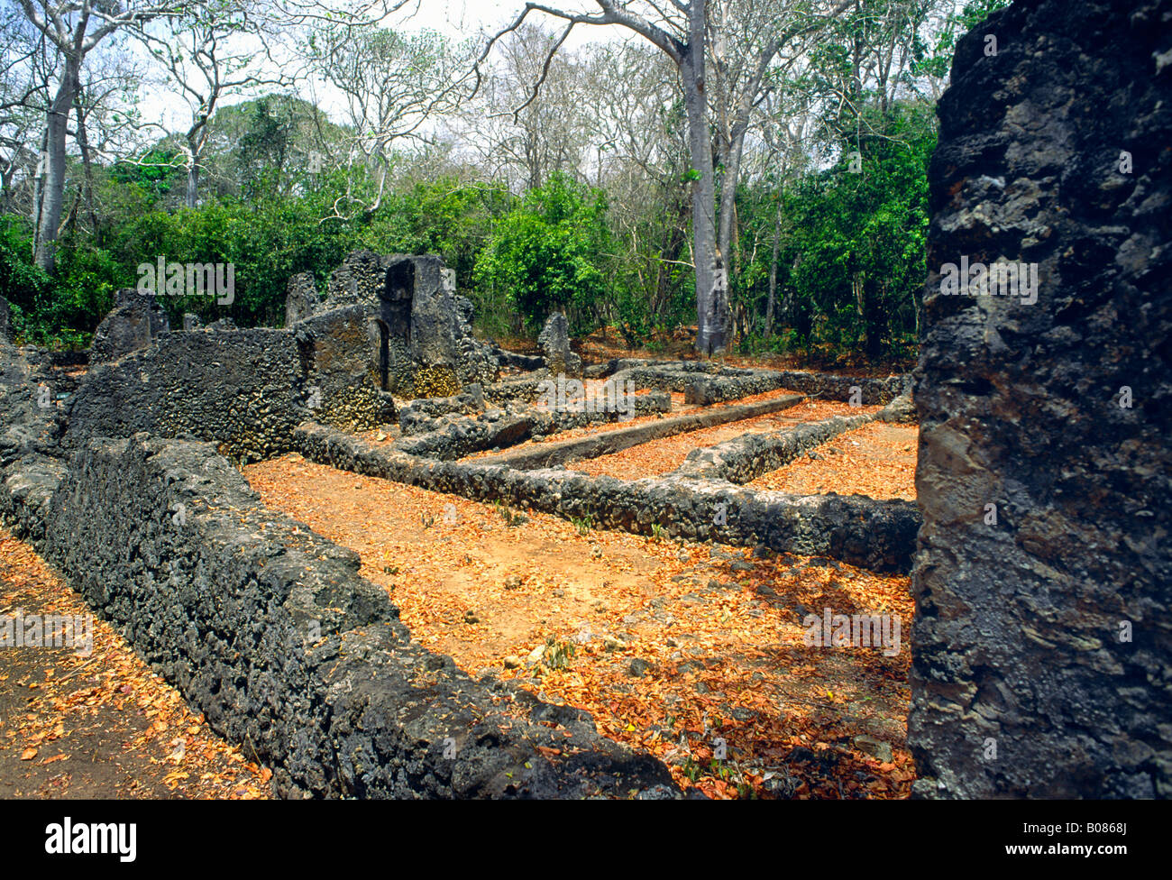 Gedi Ruins Kenya Stock Photo - Alamy