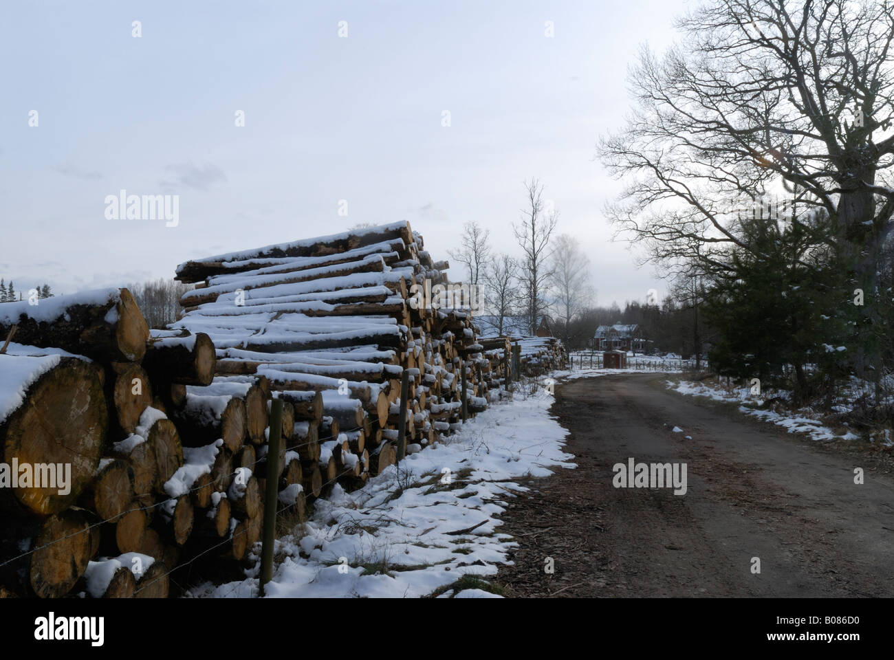 Ice stocks hi-res stock photography and images - Alamy