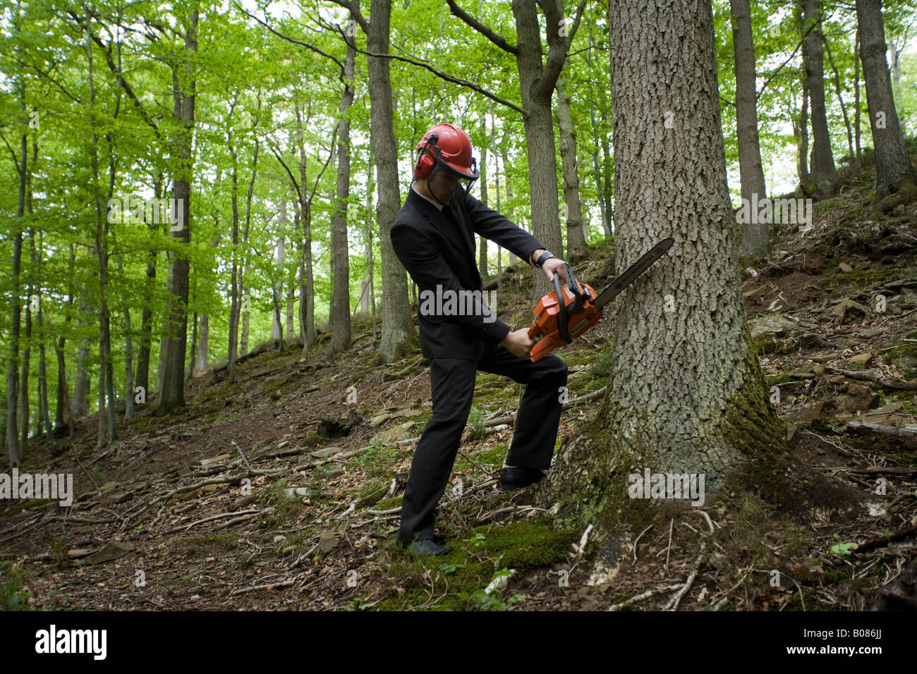 Business man cutting down forest Stock Photo - Alamy