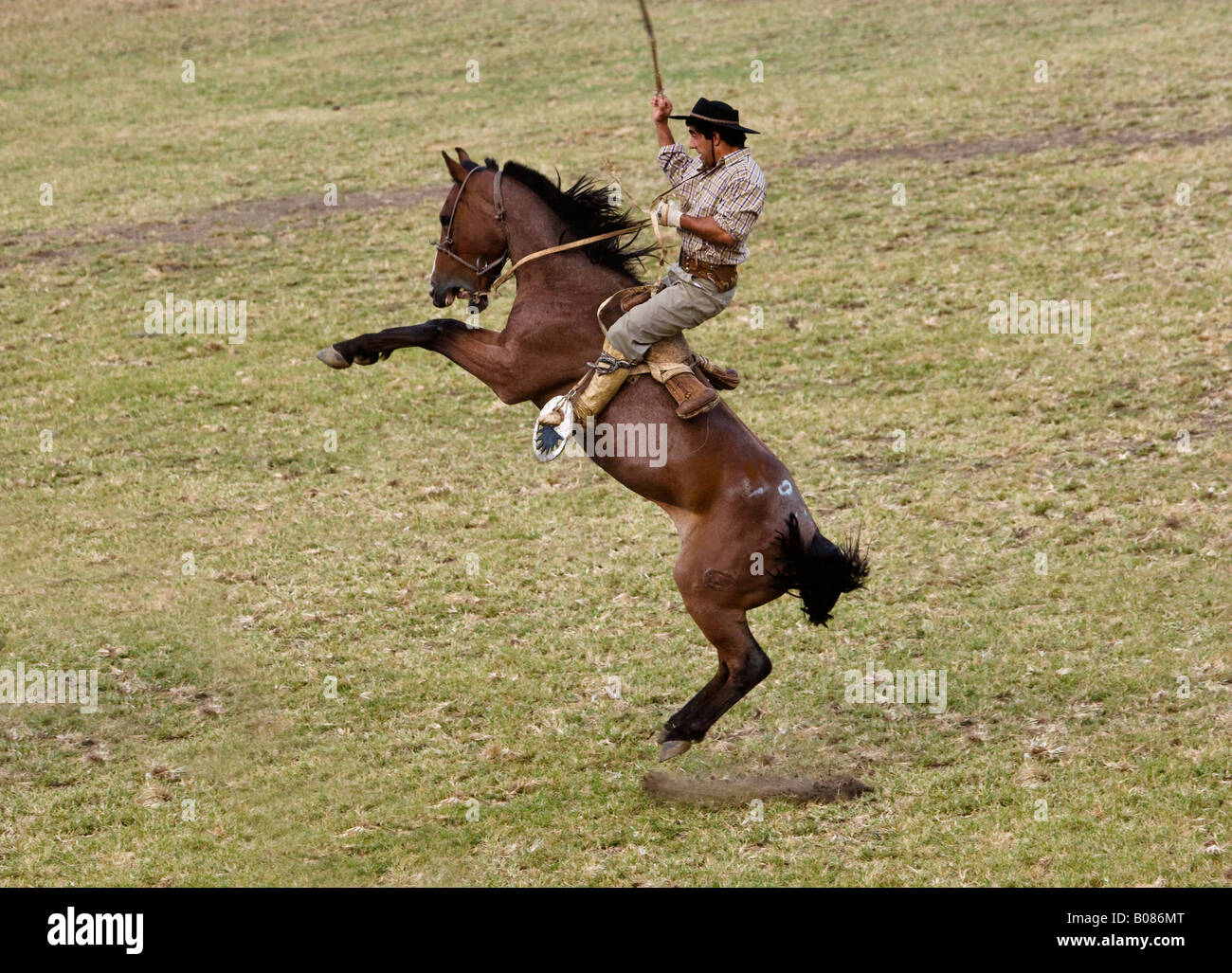 cow-boy cowboy rider riding free freedom lonely Stock Photo - Alamy
