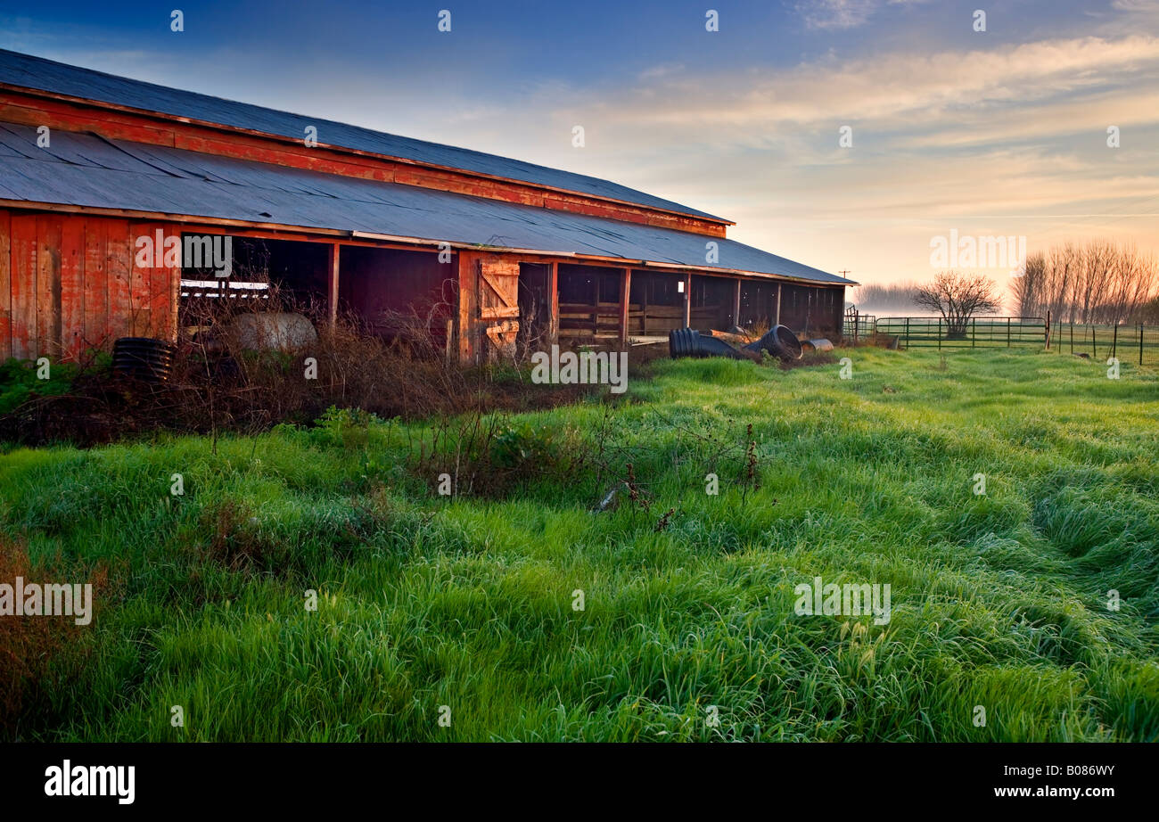 Agricultural barn at sunrise in California s Central San Joaquin Valley ...
