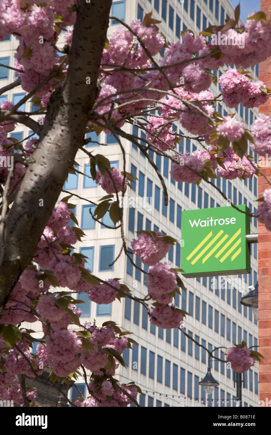 Waitrose Sign and logo in Suburban London Street with modern office ...
