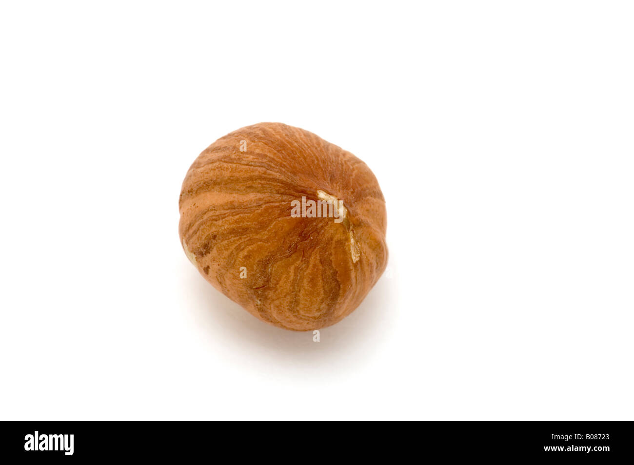 Hazel cook Cut Out Stock Images & Pictures - Alamy