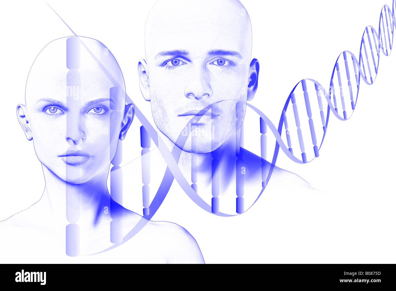 Genetics family tree hi-res stock photography and images - Alamy