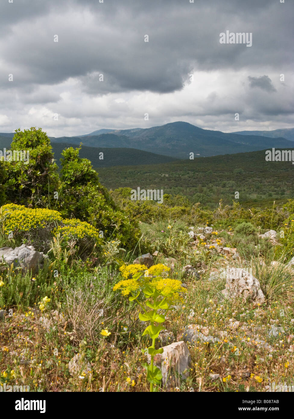 Greek countryside hi-res stock photography and images - Alamy