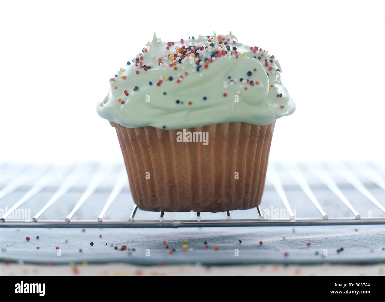A single cupcake left over Stock Photo - Alamy
