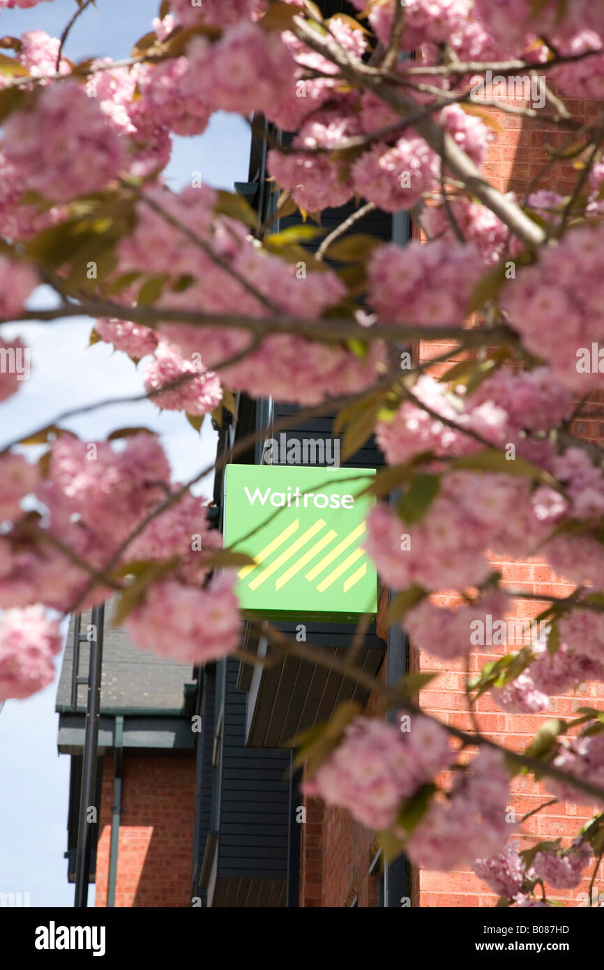 Waitrose Sign and logo in Suburban London Street Stock Photo - Alamy