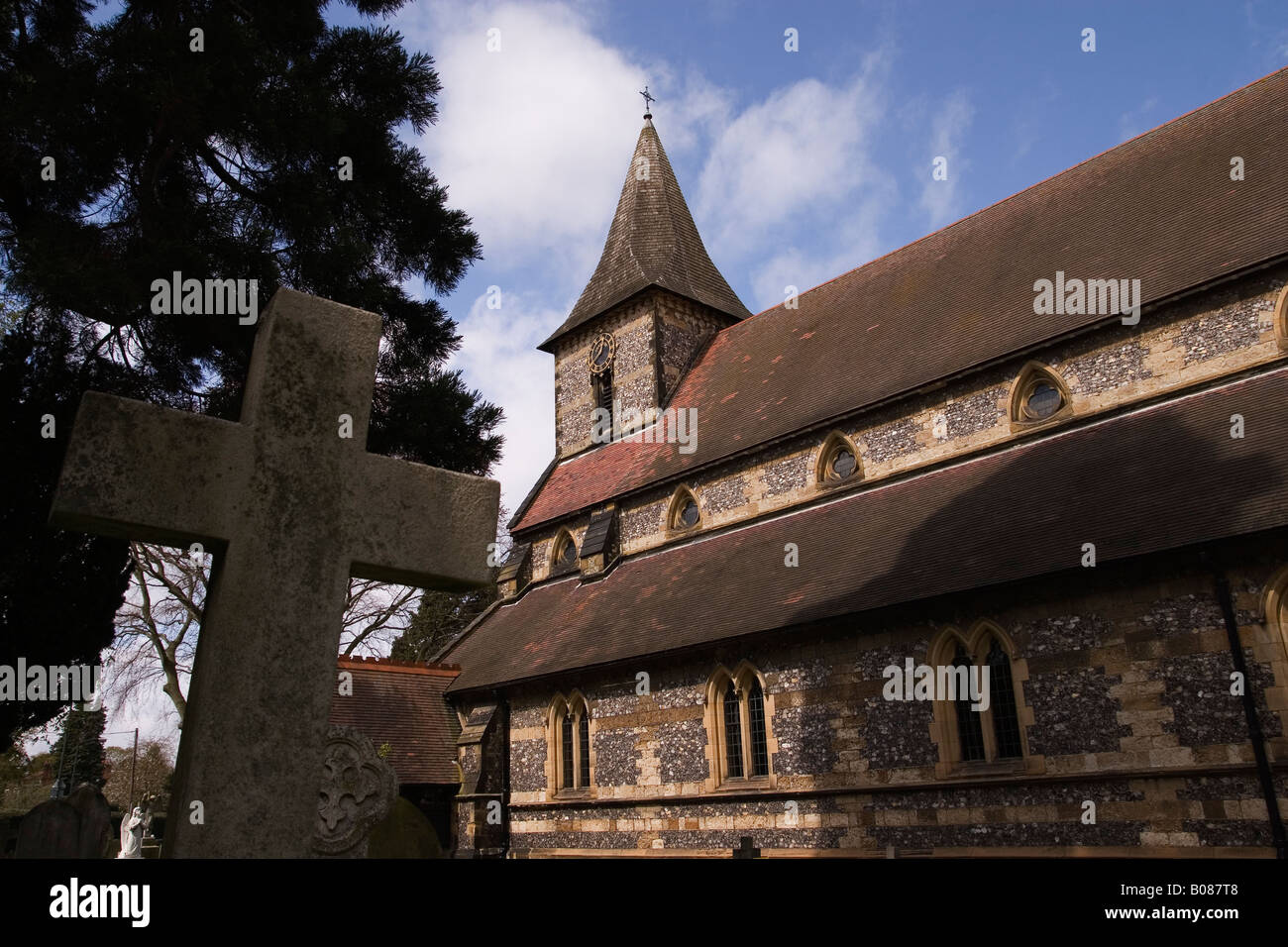 Greater ornamentation hi-res stock photography and images - Alamy