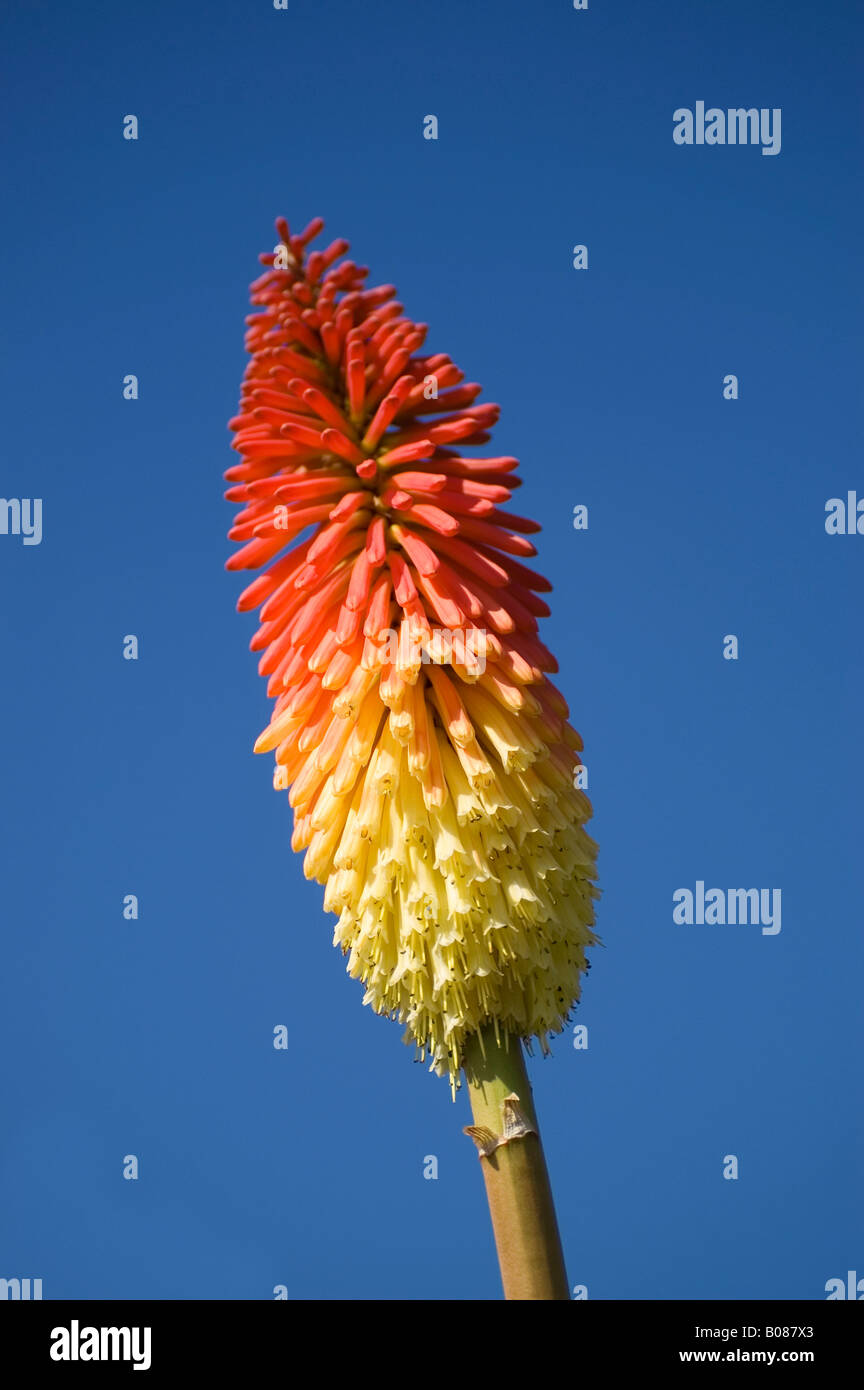 Saturn hi-res stock photography and images - Alamy