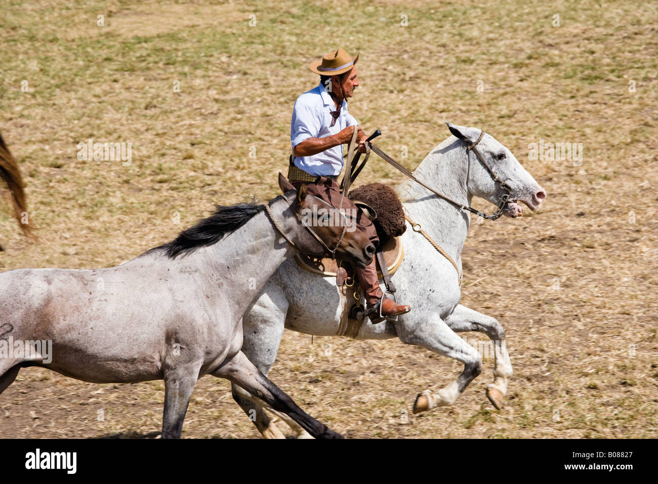 cow-boy cowboy rider riding free freedom lonely Stock Photo - Alamy