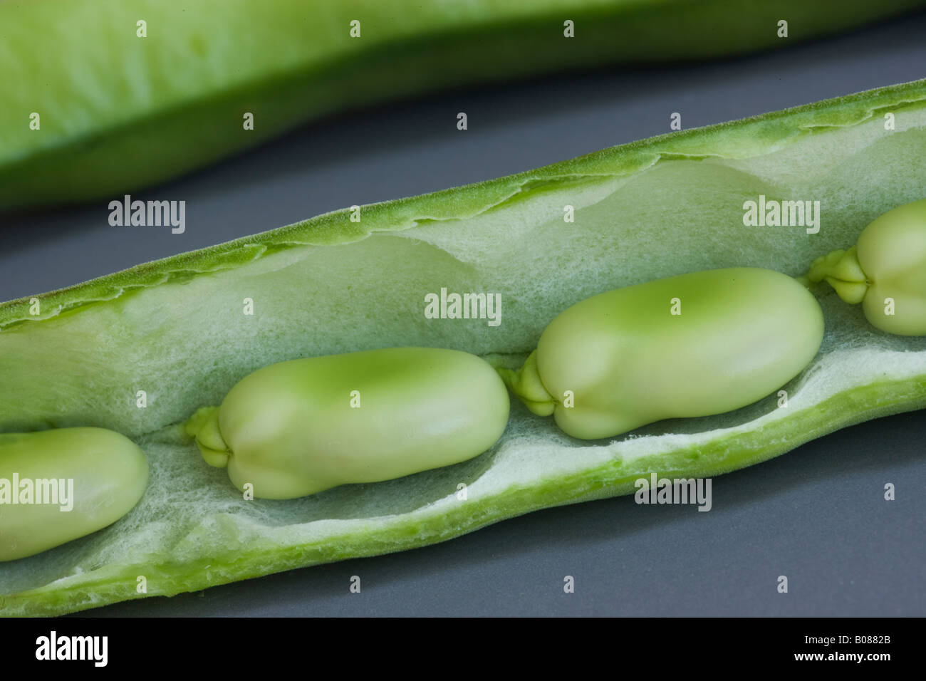 Fresh fava hi-res stock photography and images - Alamy
