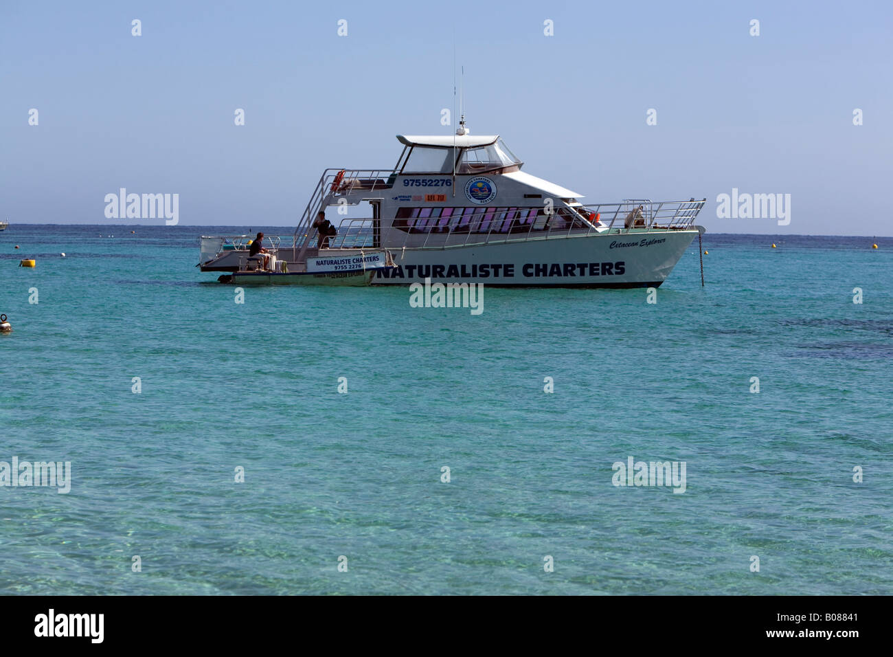 whale watching charter boat, dunsborough,western australia Stock Photo ...