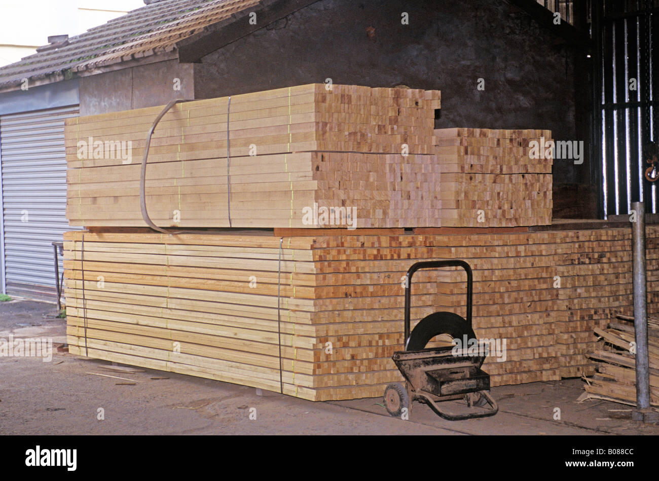 China lumber industry hi-res stock photography and images - Alamy
