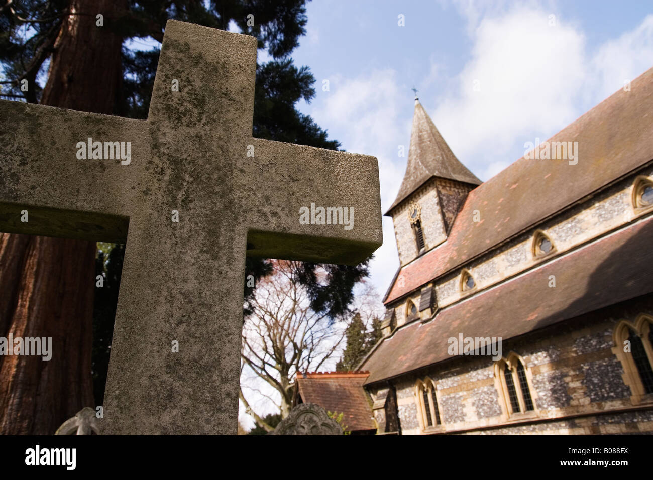 Greater ornamentation hi-res stock photography and images - Alamy