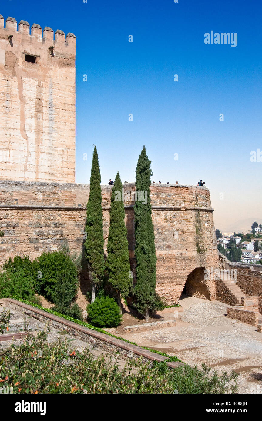 3 trees in front of wall hi-res stock photography and images - Alamy