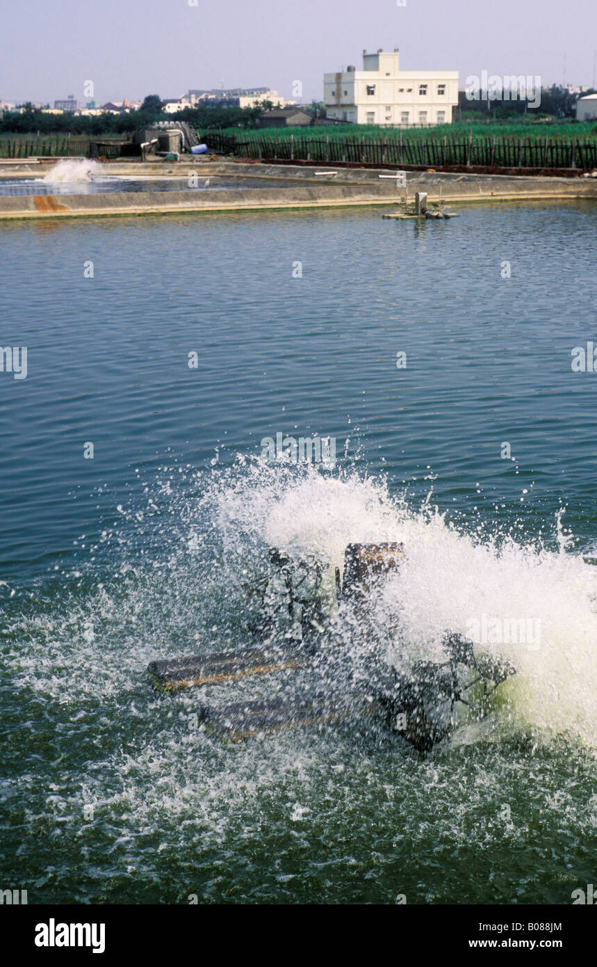 Fish Farm Yunlin County Taiwan Stock Photo - Alamy