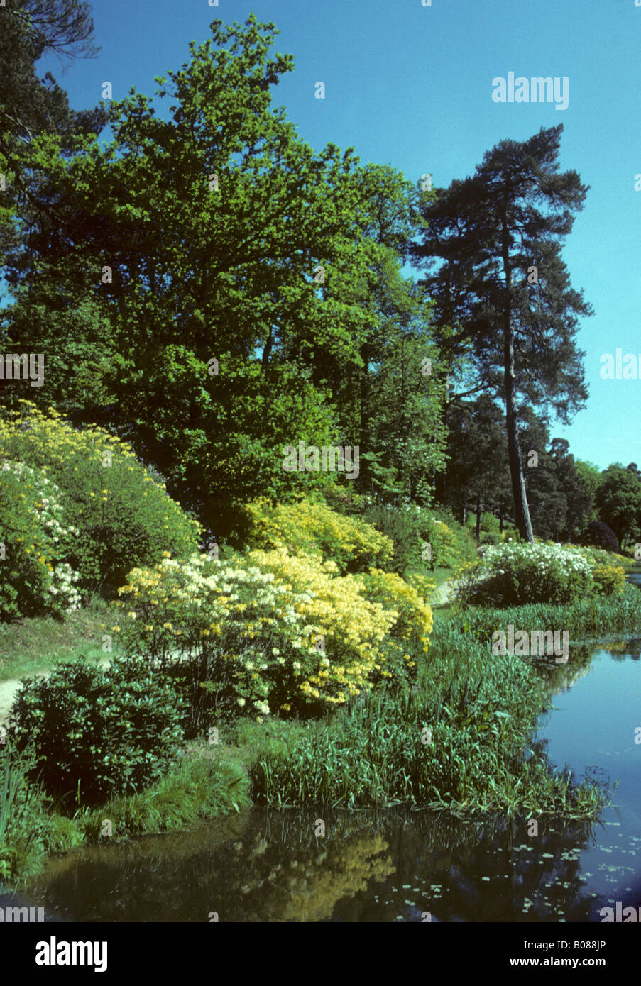 Leonardslee gardens tourism hi-res stock photography and images - Alamy