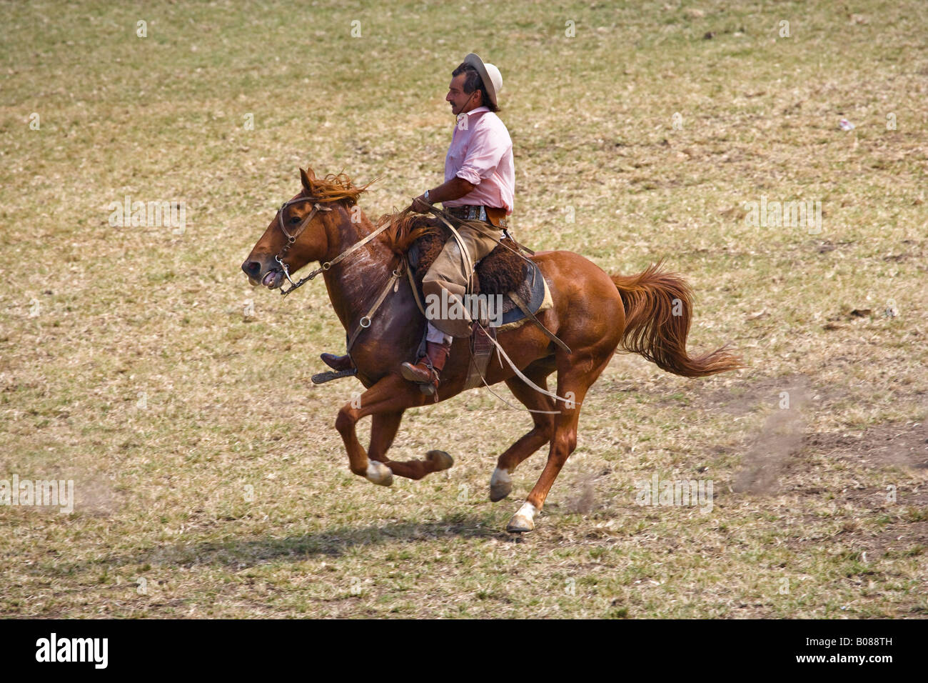 Rider riding hi-res stock photography and images - Alamy