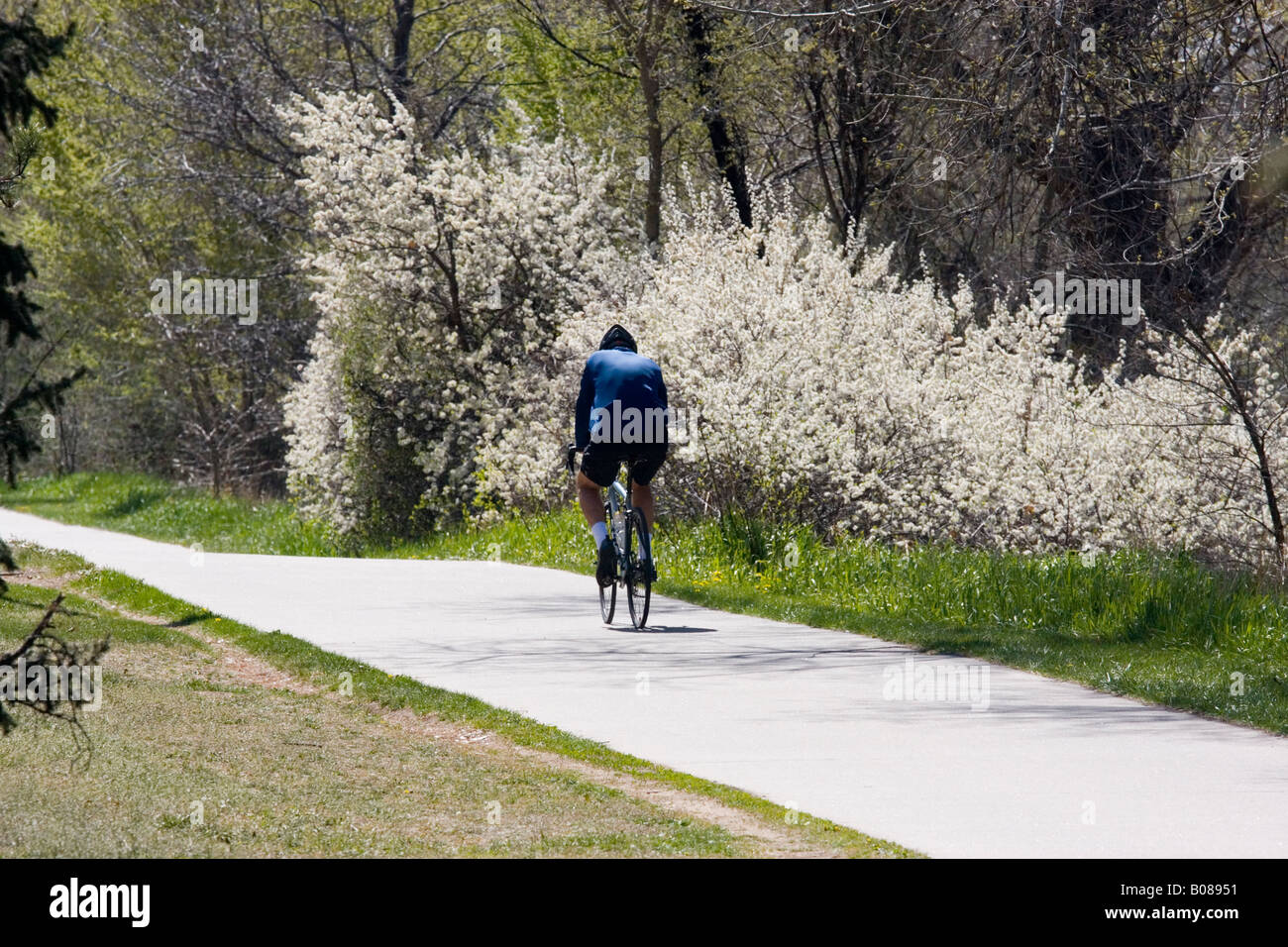 Man Riding Bike Stock Photo - Alamy