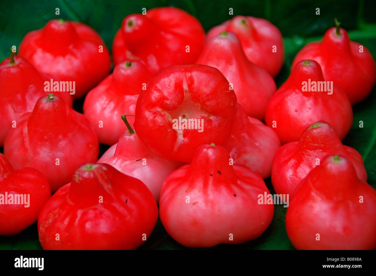 Jamba (sweet red goose berries Stock Photo - Alamy