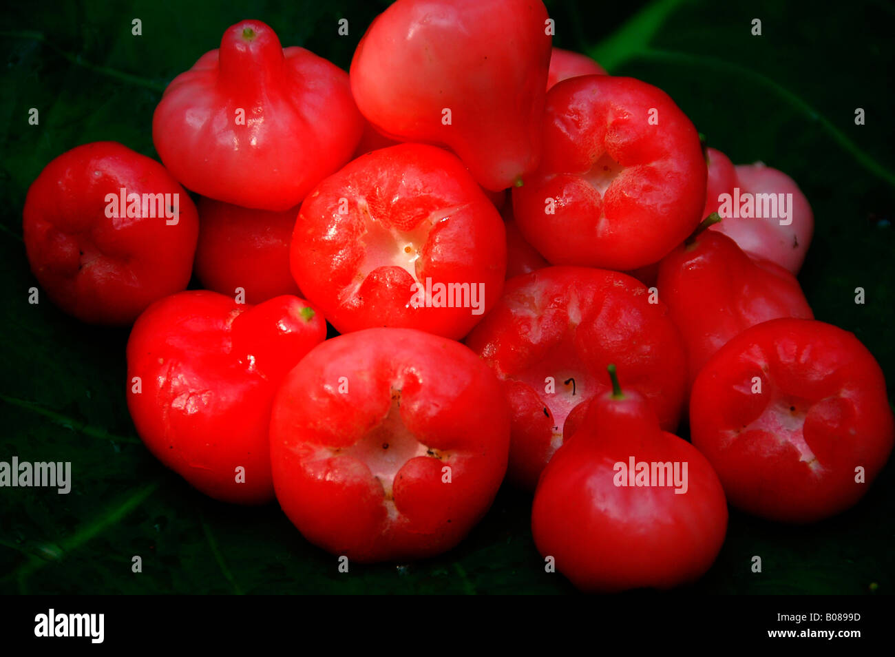 Jamba (sweet red goose berries Stock Photo - Alamy