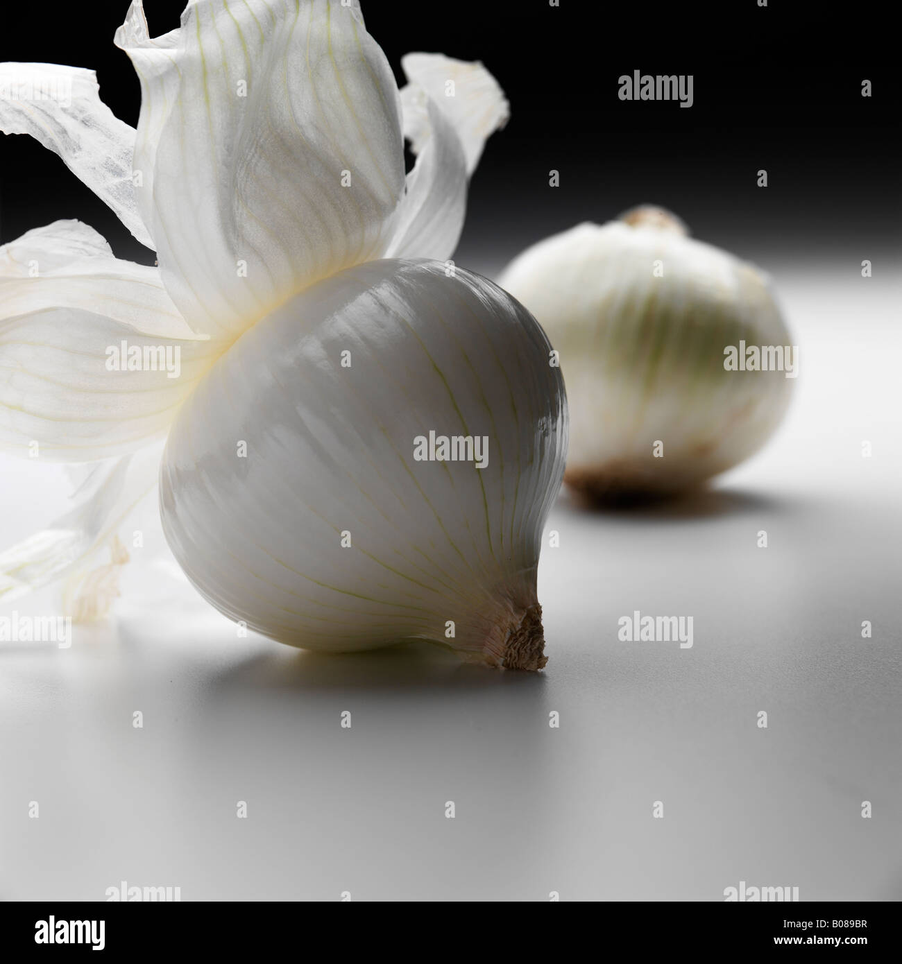 two onions taken in studio Stock Photo - Alamy