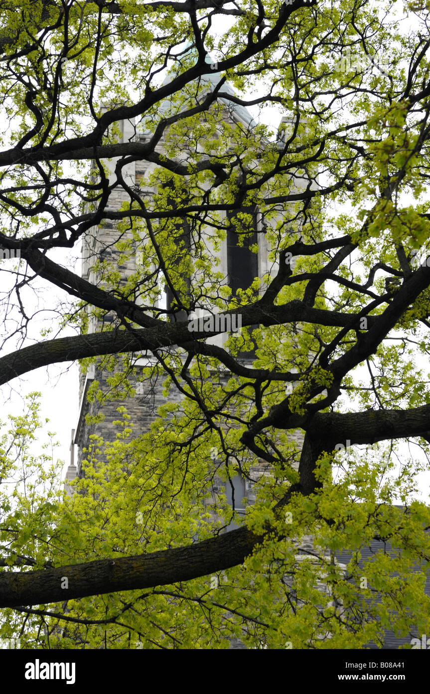 Tower tree trees green hi-res stock photography and images - Alamy
