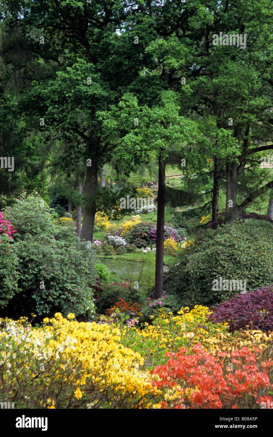 Leonardslee Gardens Lower Beeding West Sussex one of England s most ...