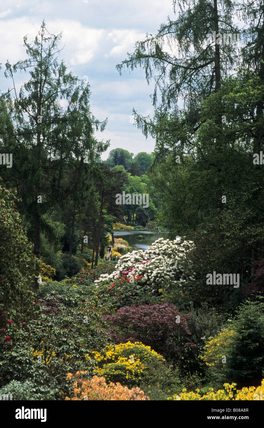 Leonardslee Gardens Lower Beeding West Sussex one of England s most ...