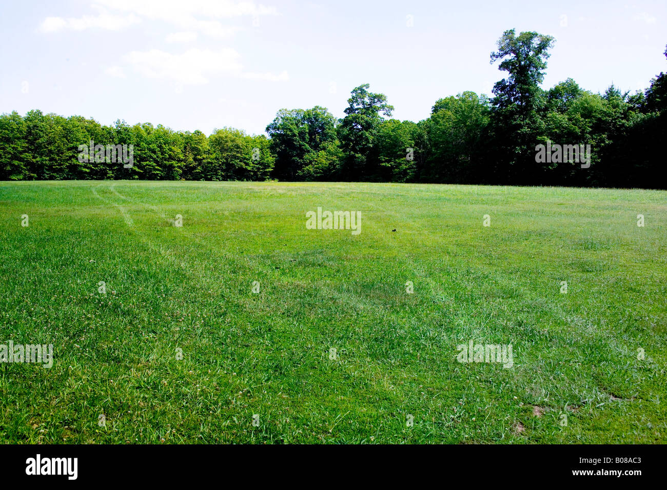 Field of green lawn Stock Photo - Alamy
