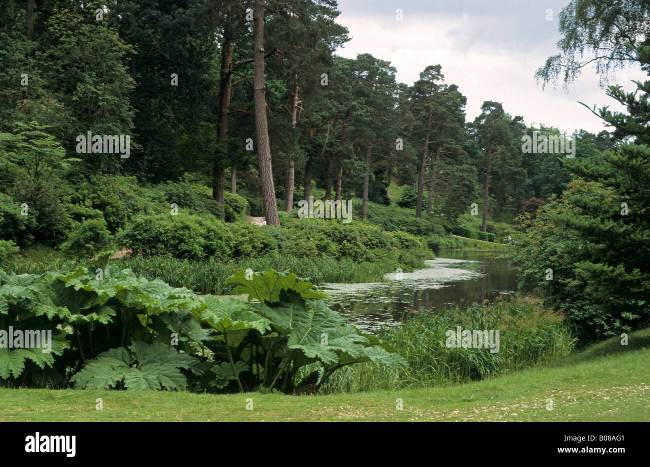 Leonardslee Gardens Lower Beeding West Sussex one of England s most ...