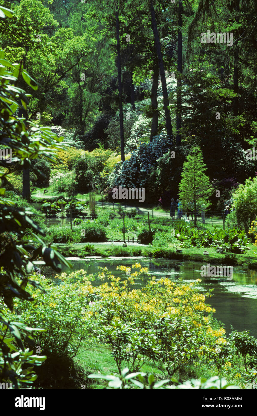 Leonardslee Gardens Lower Beeding West Sussex one of England s most ...