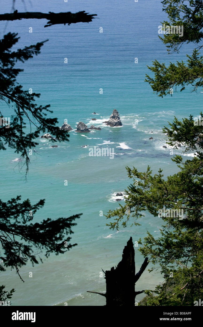 Needle Rock Sinkyone national wilderness Stock Photo - Alamy