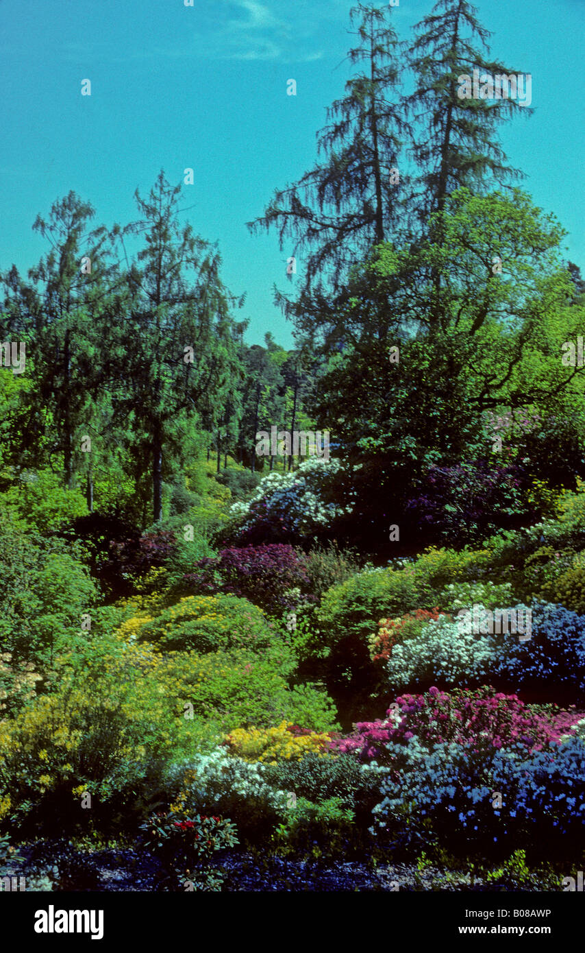 Leonardslee Gardens Lower Beeding West Sussex one of England s most ...