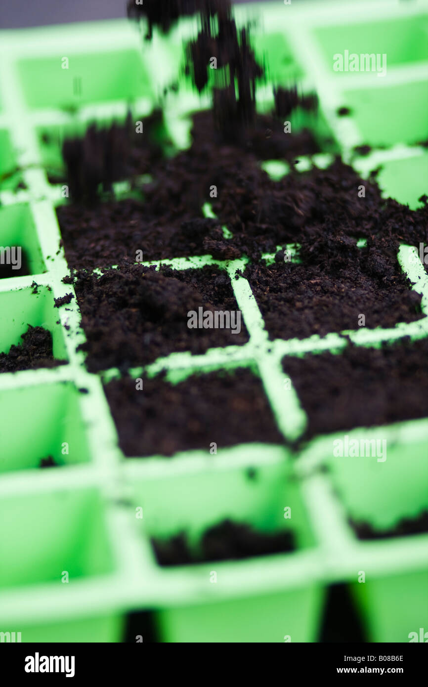 green cellular seed tray being filled with compost Stock Photo - Alamy