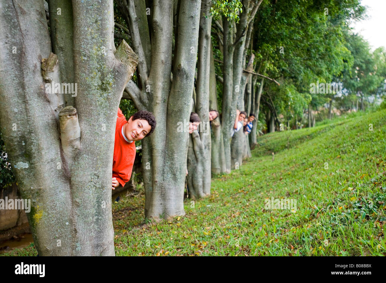 Kids looking out from behind trees Stock Photo - Alamy