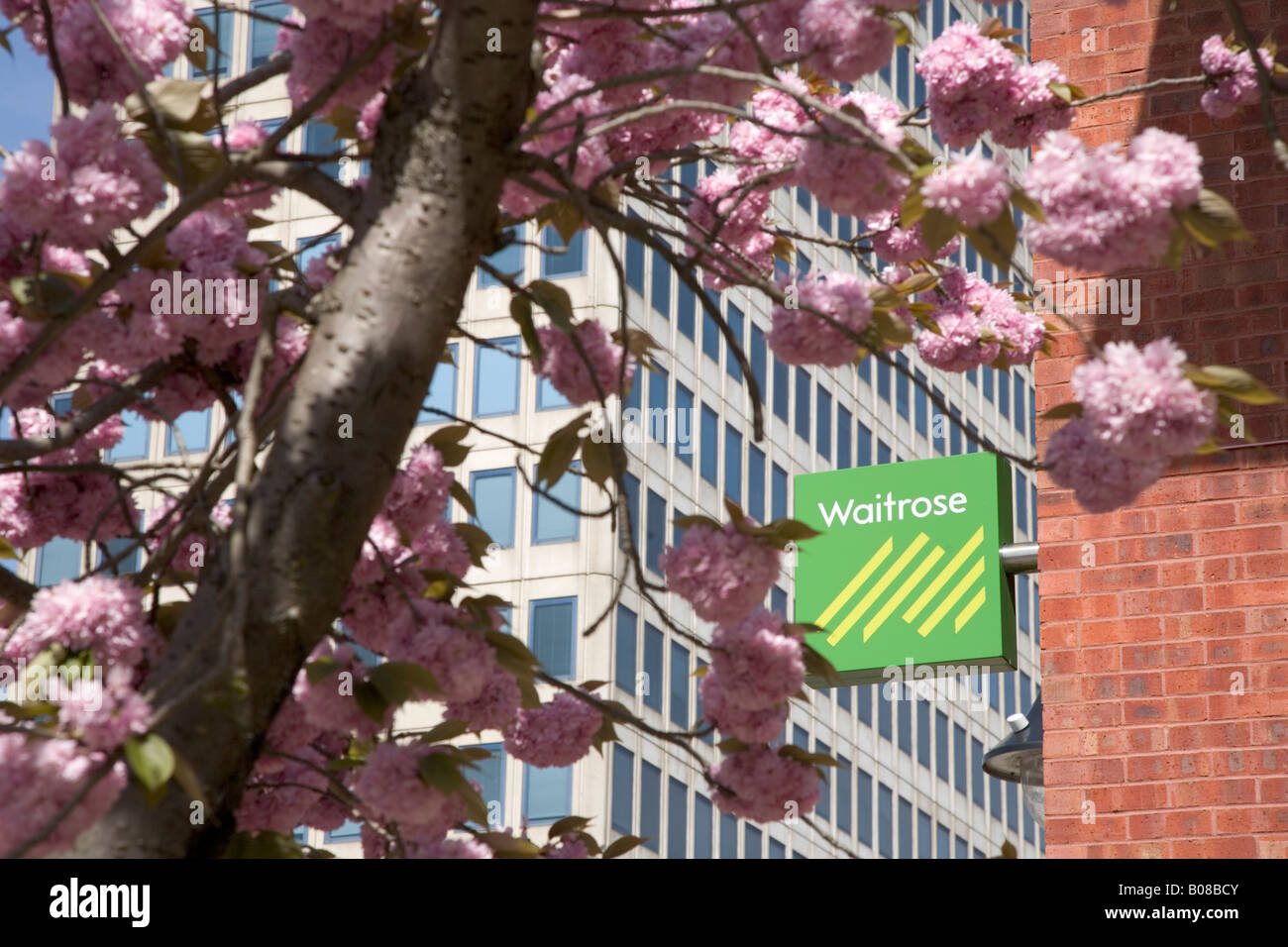 Waitrose Sign and logo in Suburban London Street with modern office ...