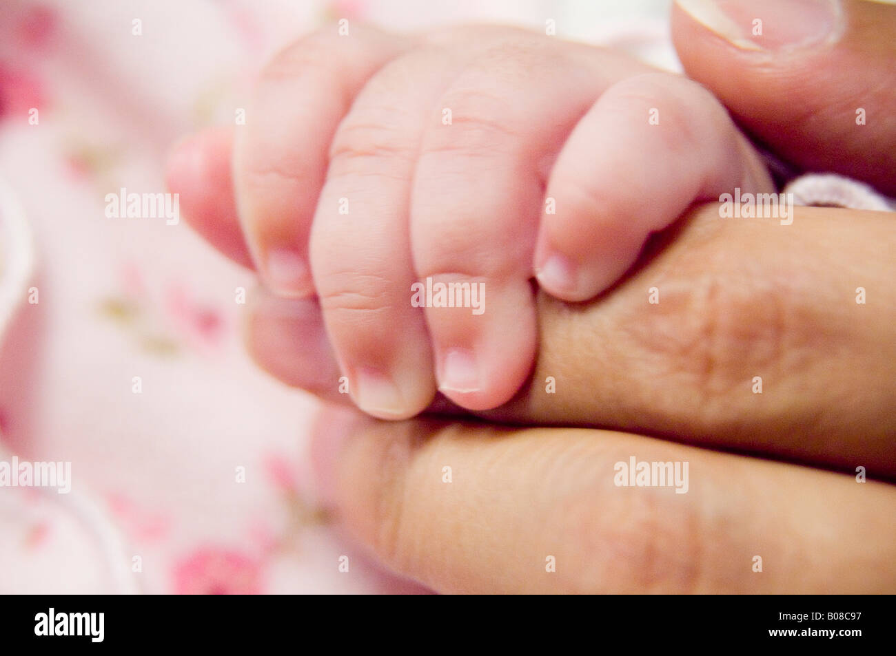Baby s hand holding adult s hand Stock Photo - Alamy