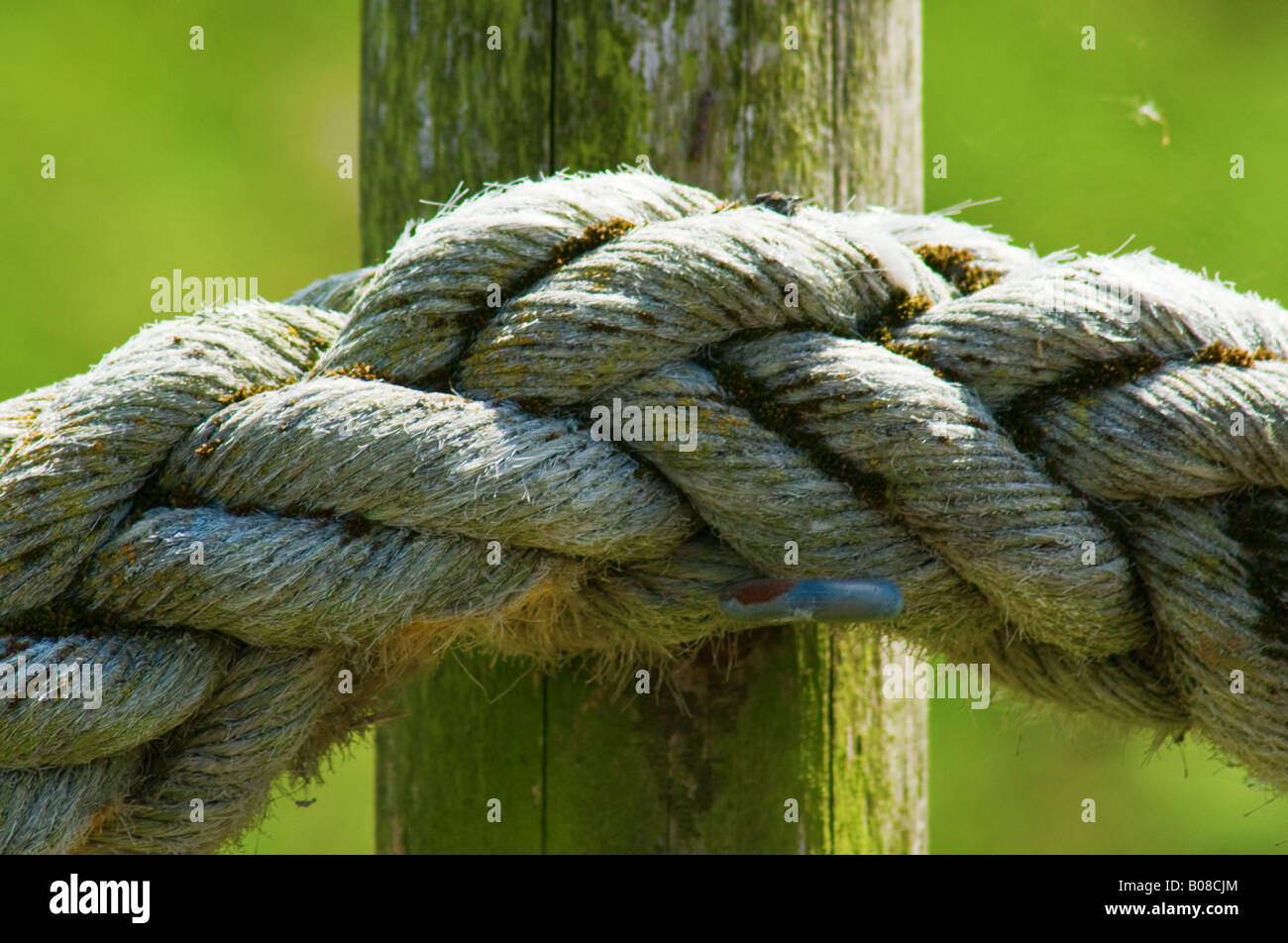 Rope fixed to fence post, texture Stock Photo - Alamy